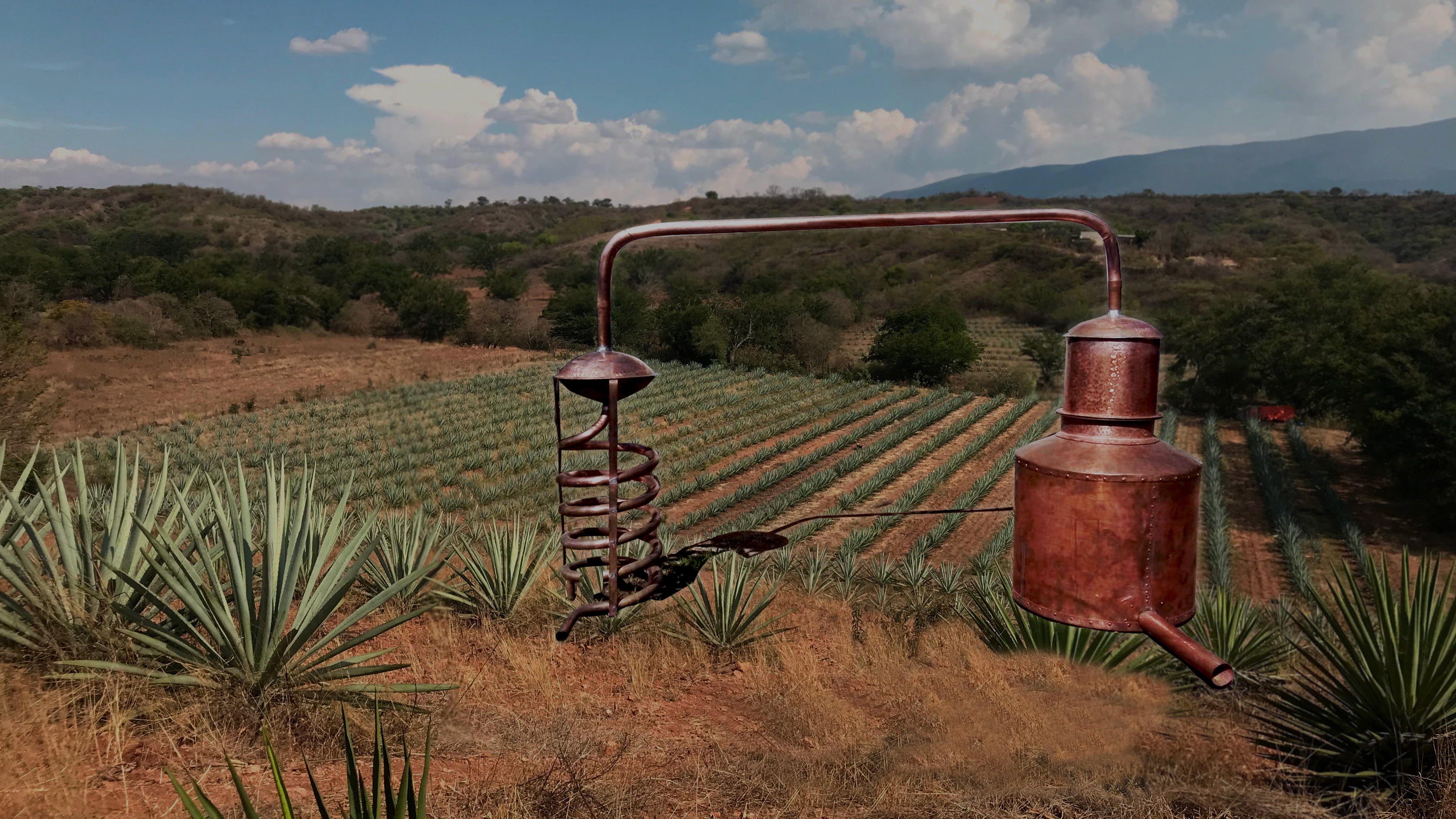 Destiladores De Cobre Venta De Alambiques Artesanales Alambique De